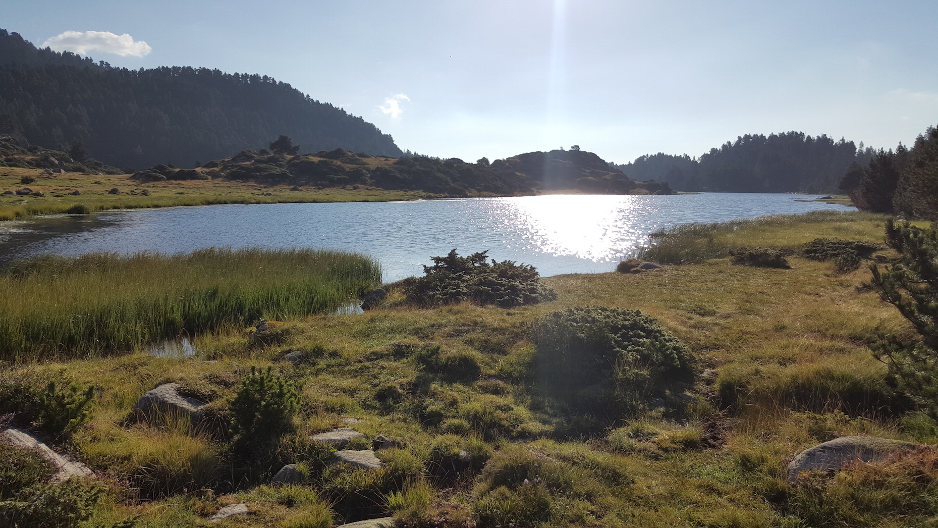 parcours de trail à Font Romeu à télécharger pour votre GPS