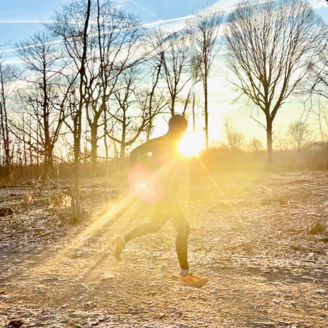 Plan d’entraînement Ecotrail de Paris 45 km – 11 semaines trail roulant ...